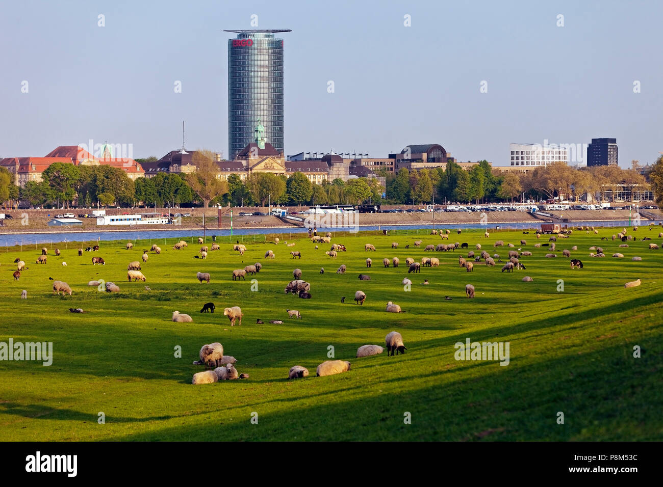 Ergo Germany High Resolution Stock Photography and Images - Alamy