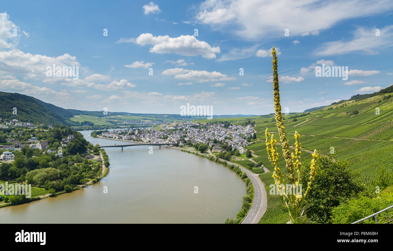 Mehring hi-res stock photography and images - Alamy