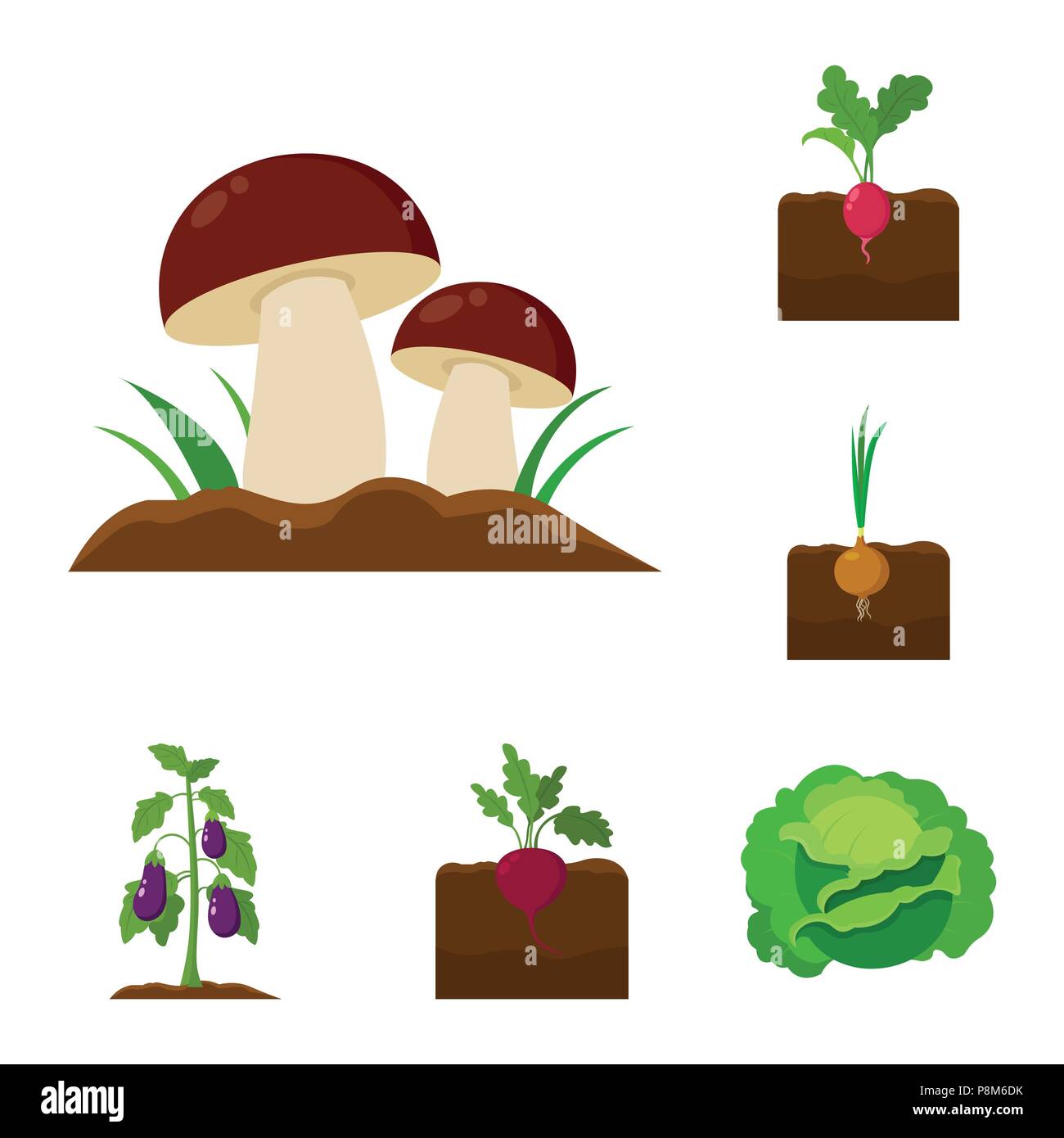 Plant, vegetable cartoon icons in set collection for design. Garden and ...