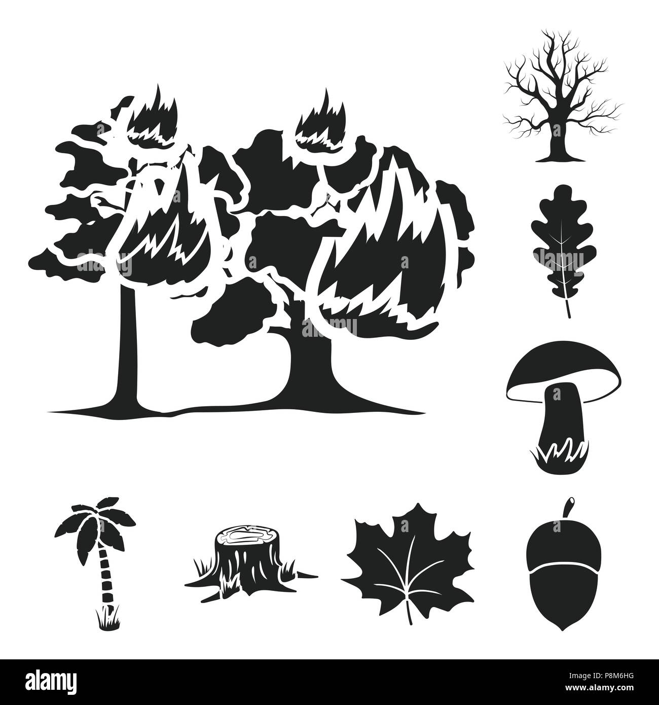 Forest and nature black icons in set collection for design. Forest life ...