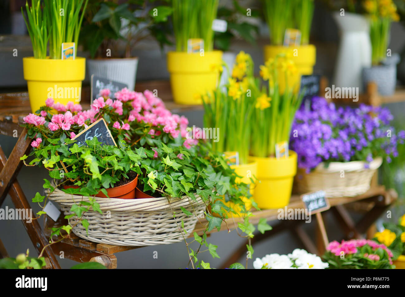 Beautiful colorful flowers sold on outdoor flower shop in Paris, France ...