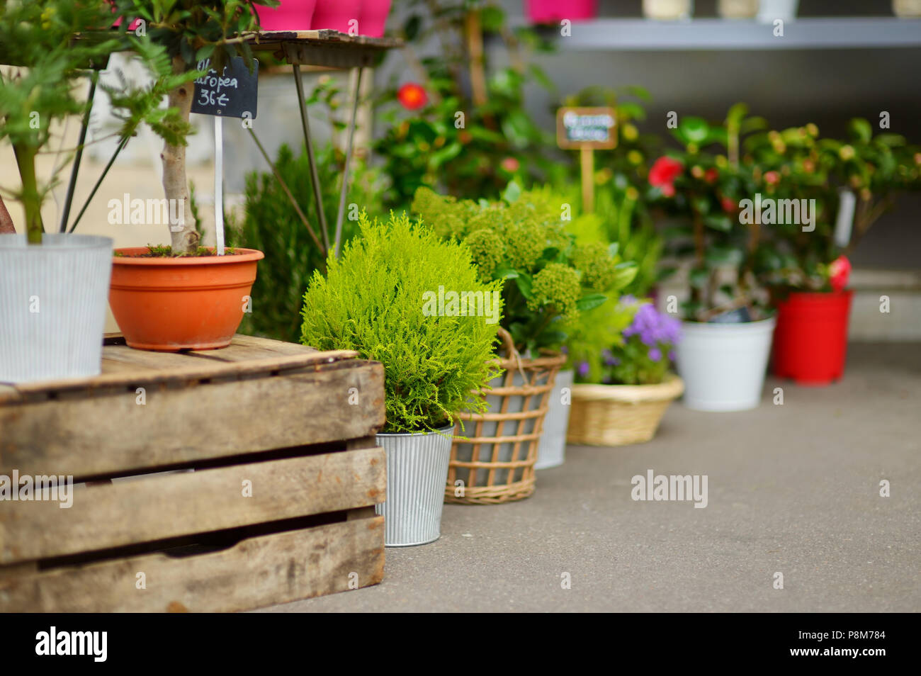 Beautiful colorful flowers sold on outdoor flower shop in Paris, France ...
