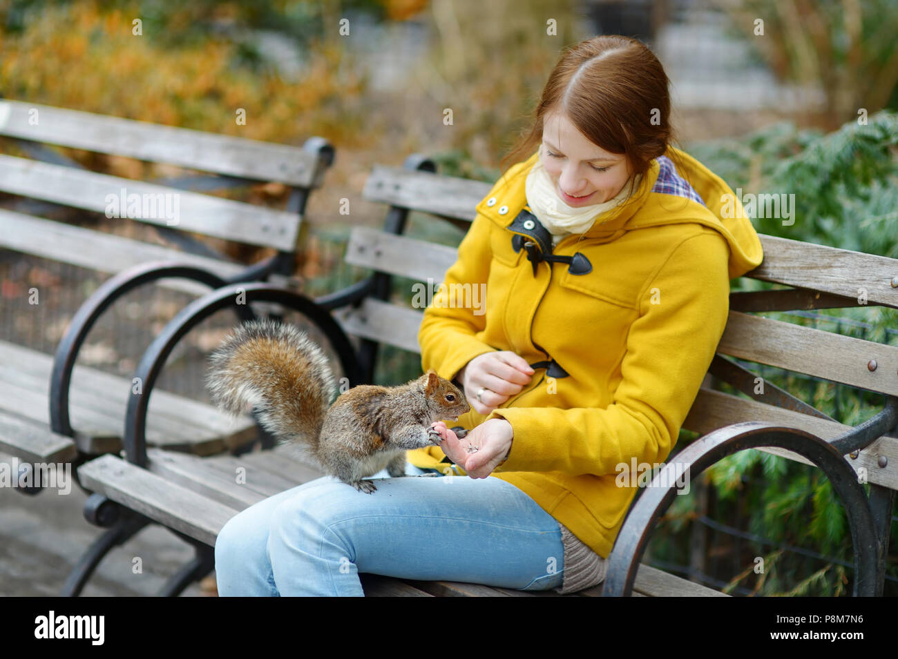 Beautiful woman squirrel hi-res stock photography and images - Alamy