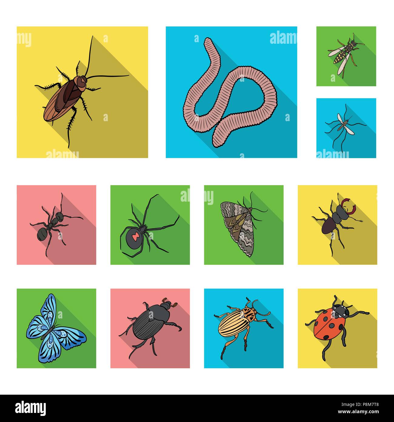 Species of stinging insects Stock Vector Images - Alamy