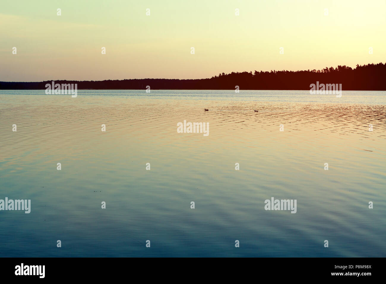 Atmospheric dusk over calm lake Stock Photo - Alamy