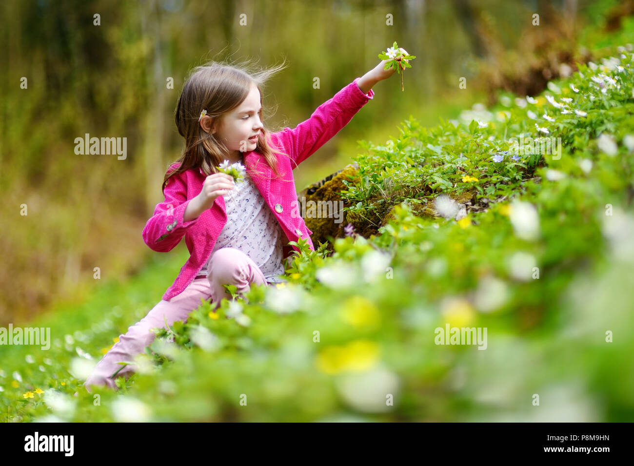 Adorable little girl picking the first flowers of spring in the woods ...