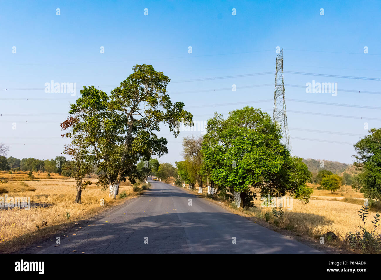 Green grass meets blue sky hi-res stock photography and images - Alamy
