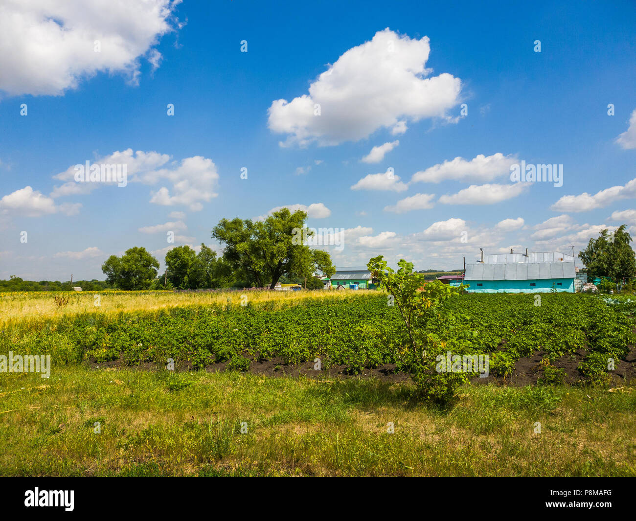 a typical rural landscape of central Russia Stock Photo - Alamy