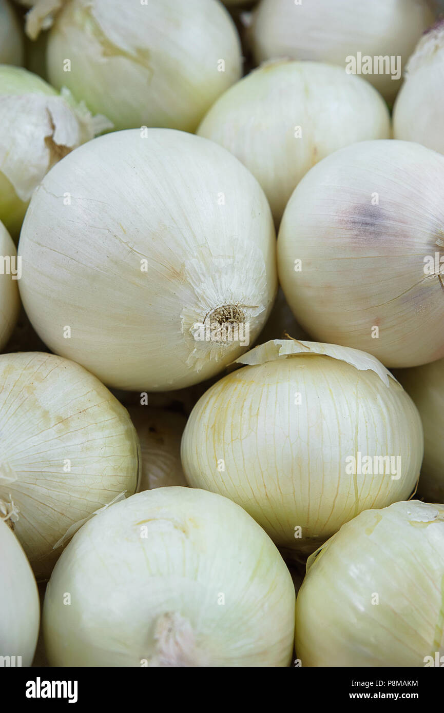 Vertical background shot of healthy white onions in a pile at the ...