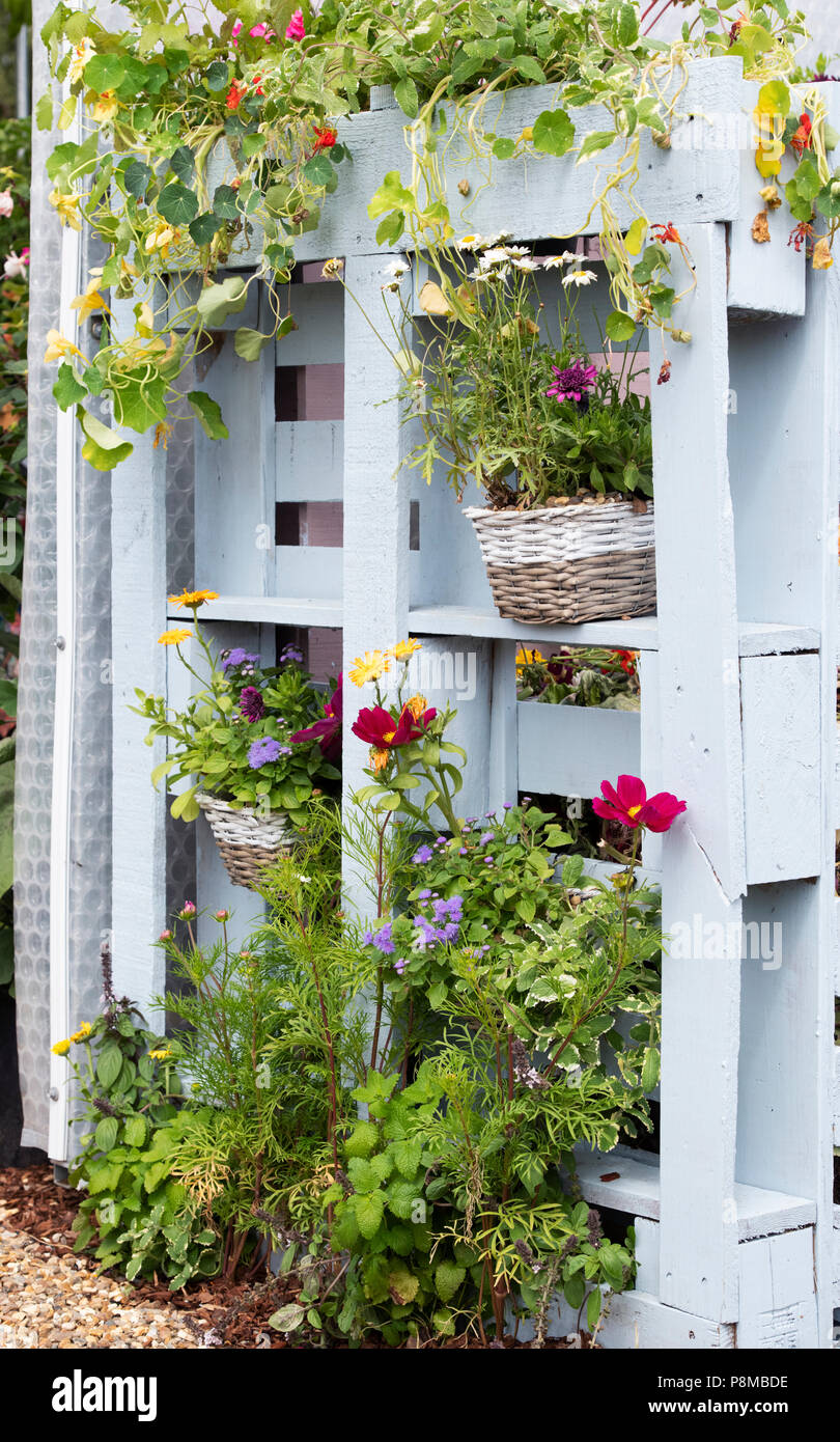 Flower display on he side of a compost heap made of pallets at a flower ...