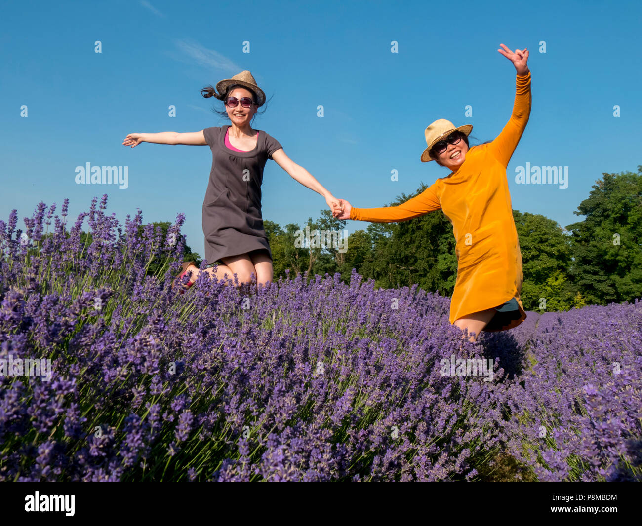 Farm tour uk hi-res stock photography and images - Alamy