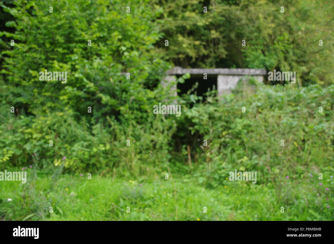 Limekiln trail hi-res stock photography and images - Alamy