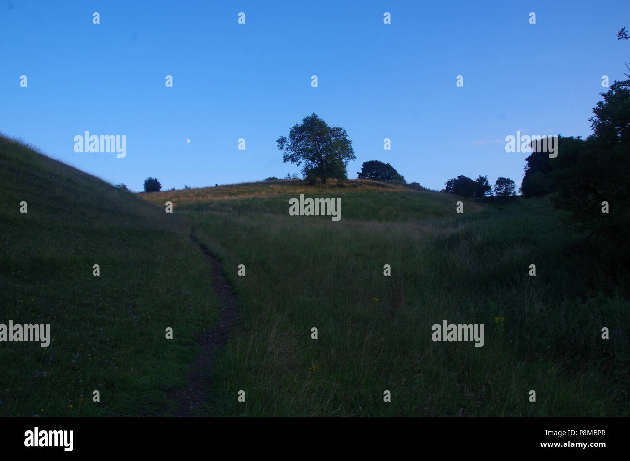 Gratton Dale. John o' groats (Duncansby head) to lands end. End to end ...