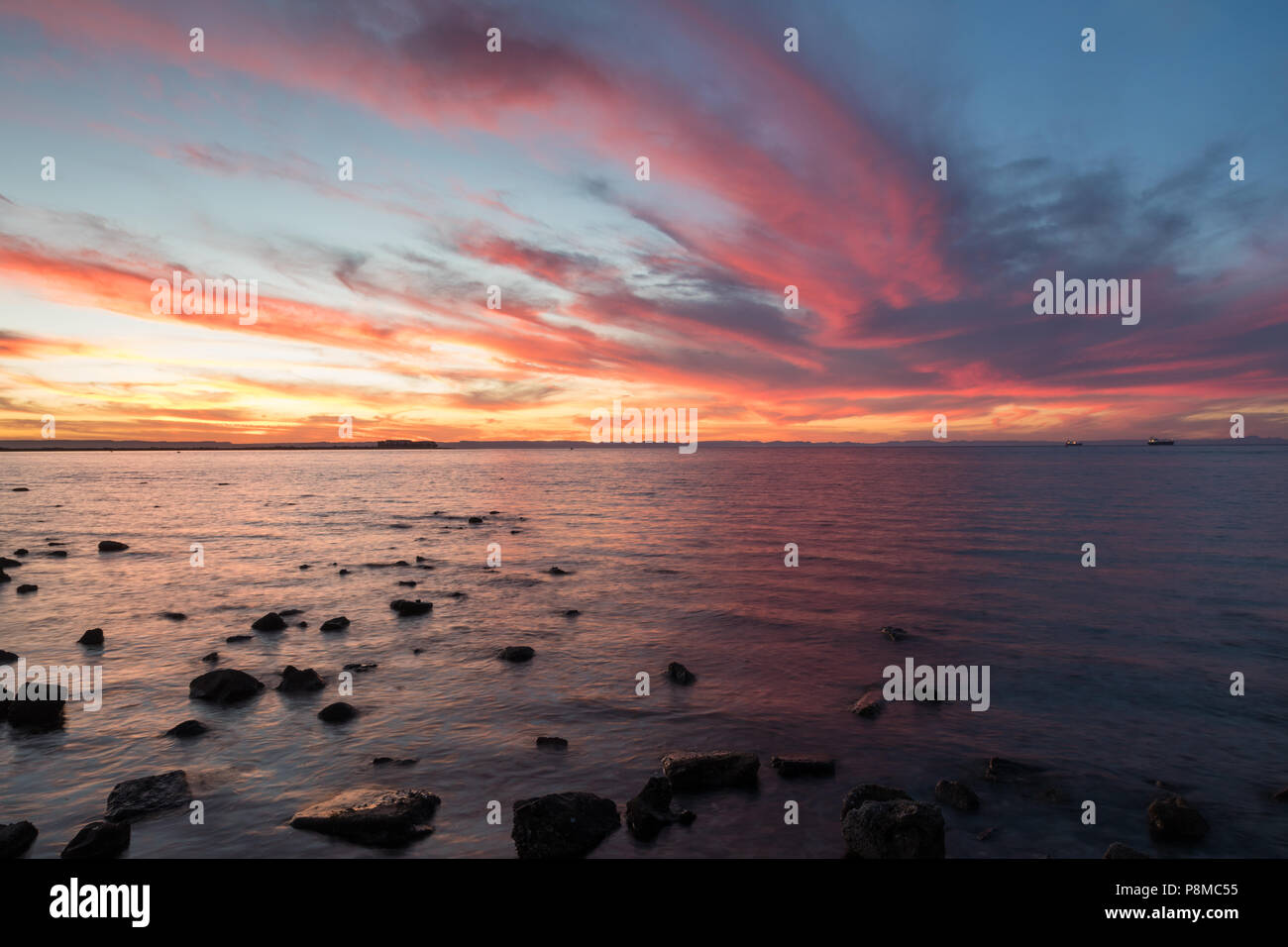Red tide mexico baja california hi-res stock photography and images - Alamy