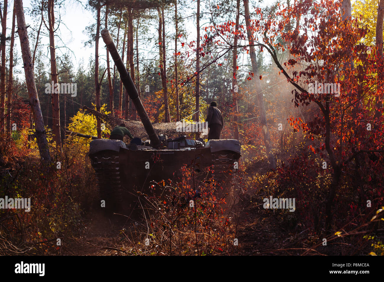 real battle tanks in motion along the unpaved forest road Ukraine Stock ...