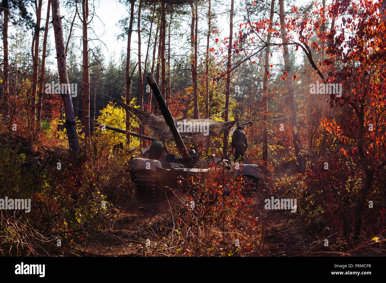 real battle tanks in motion along the unpaved forest road Ukraine Stock ...