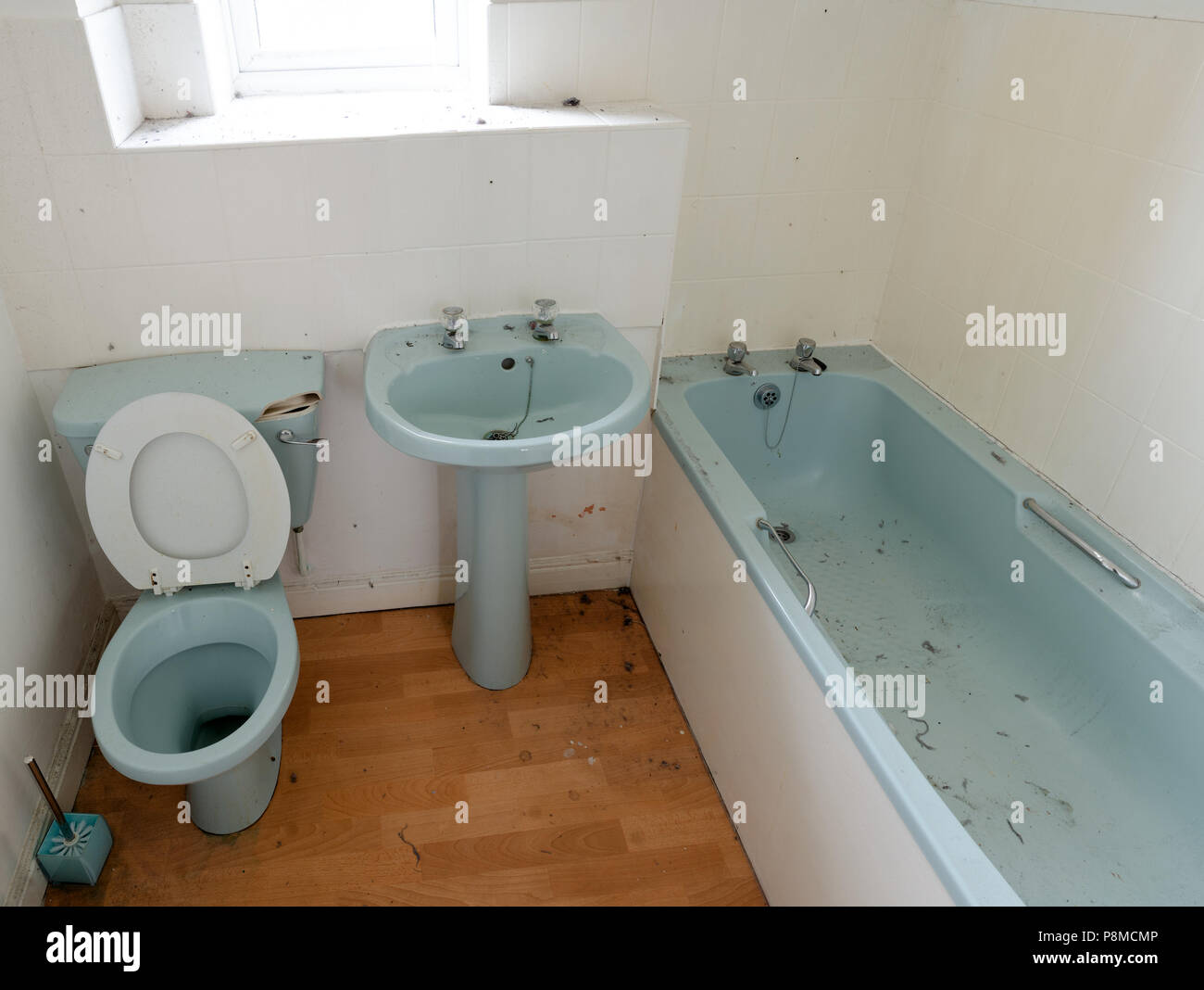 Disgusting toilet hi-res stock photography and images - Alamy