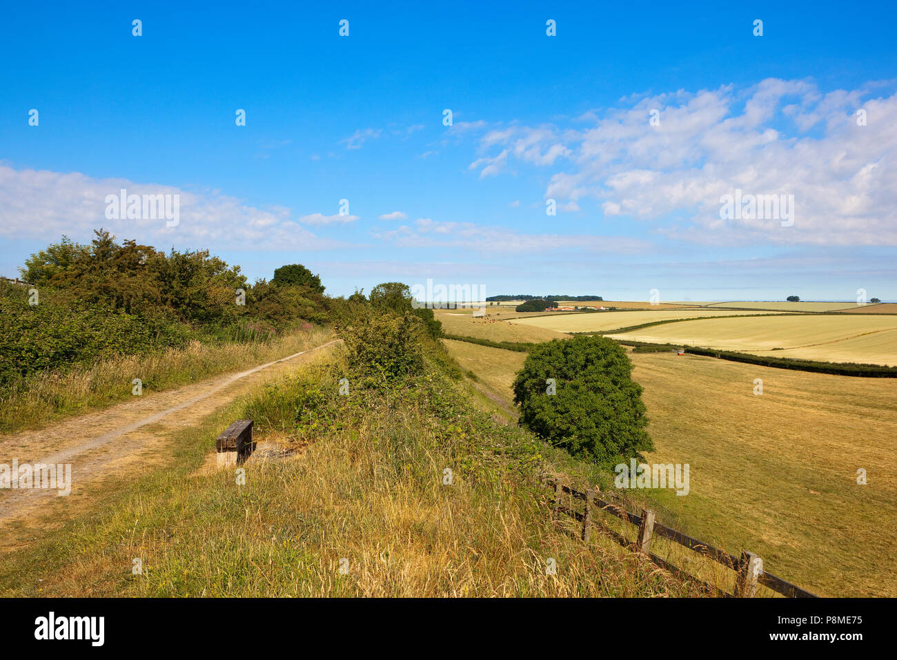 Kiplingcotes nature trail hi-res stock photography and images - Alamy