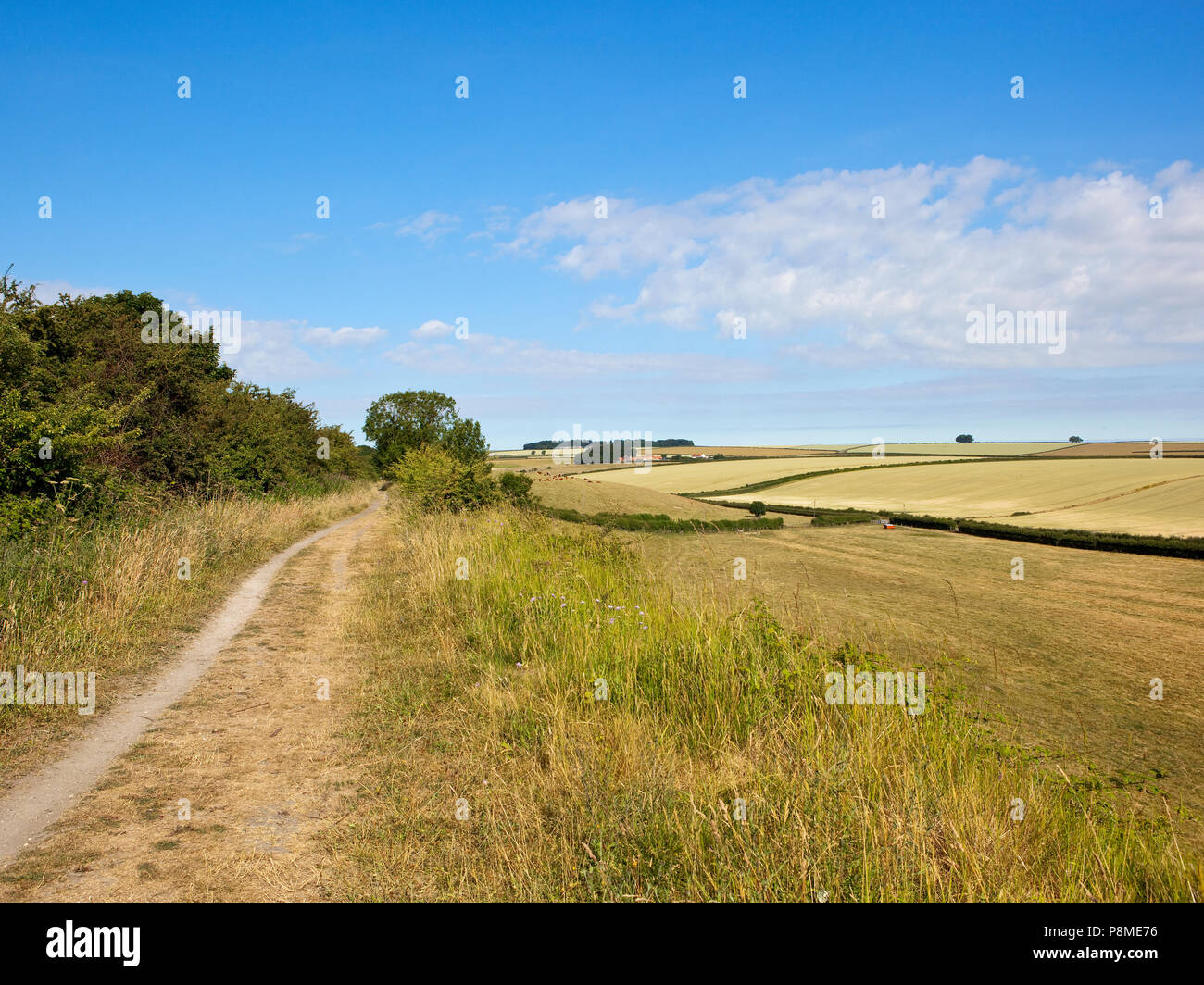 a section of Kiplingcotes nature trail looking out over agricultural ...