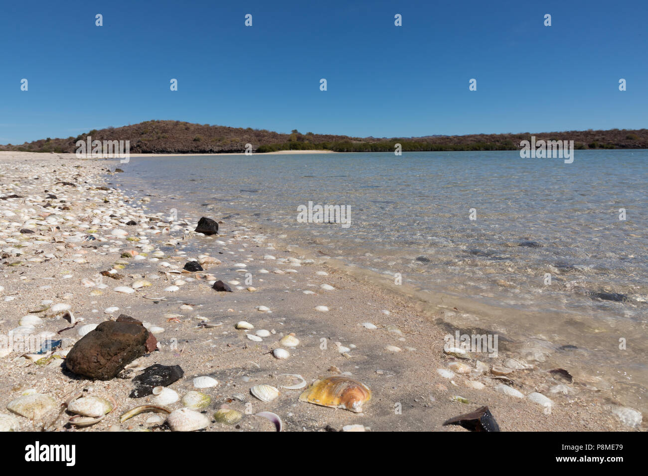 Baja california beaches hi-res stock photography and images - Alamy