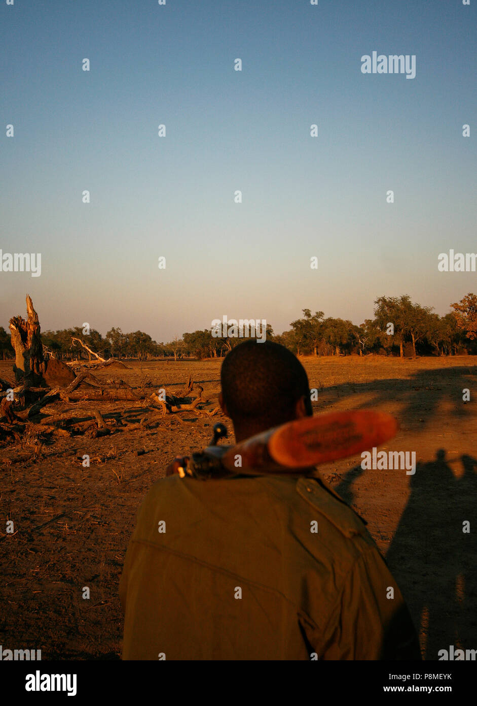 Africa park ranger gun hi-res stock photography and images - Alamy
