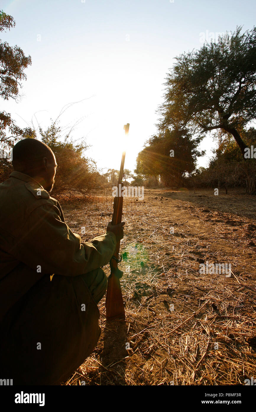 African park ranger hi-res stock photography and images - Alamy