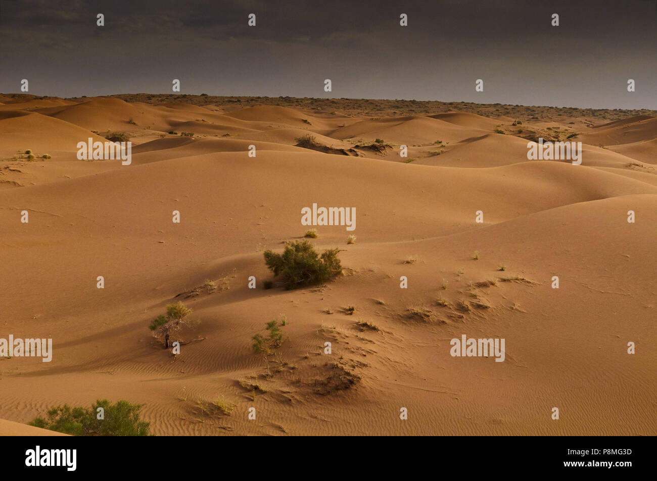 Maranjab Desert in Iran Stock Photo - Alamy