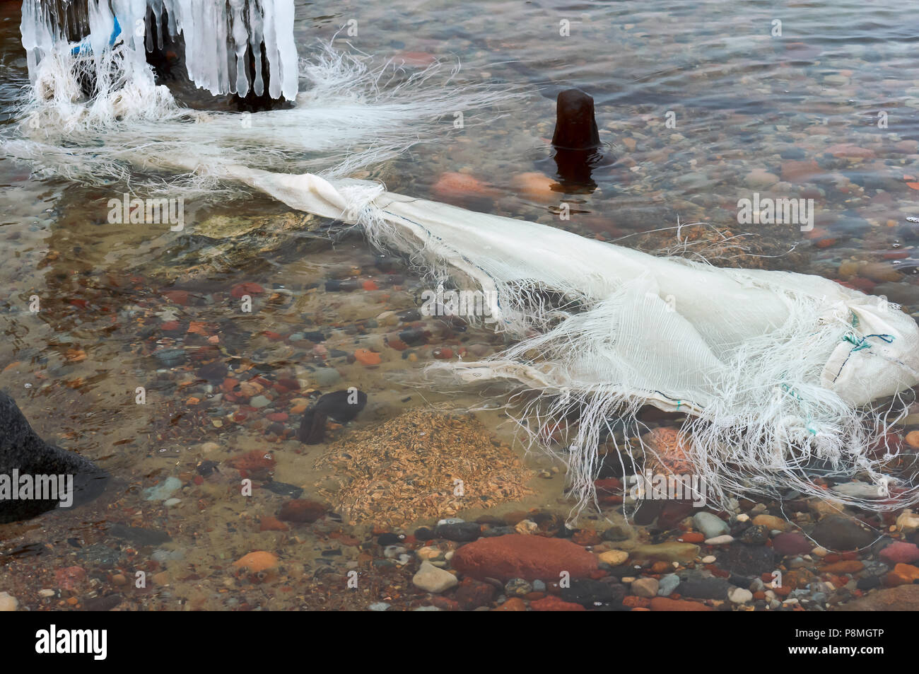 plastic pollution in the sea, surface pollution of sea waters Stock ...
