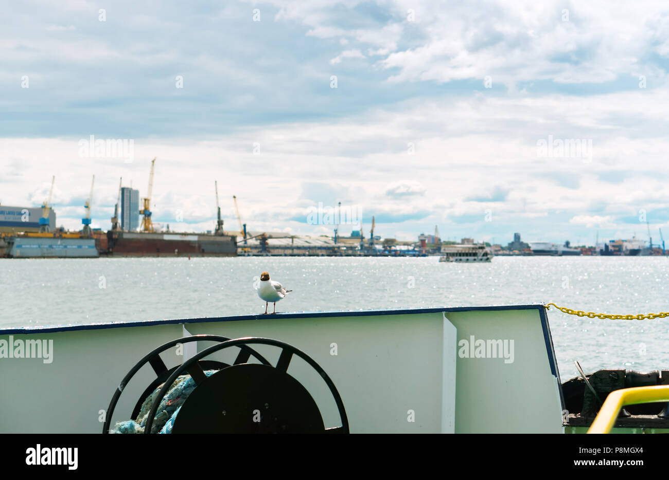 Blue bird ferry lines hi-res stock photography and images - Alamy