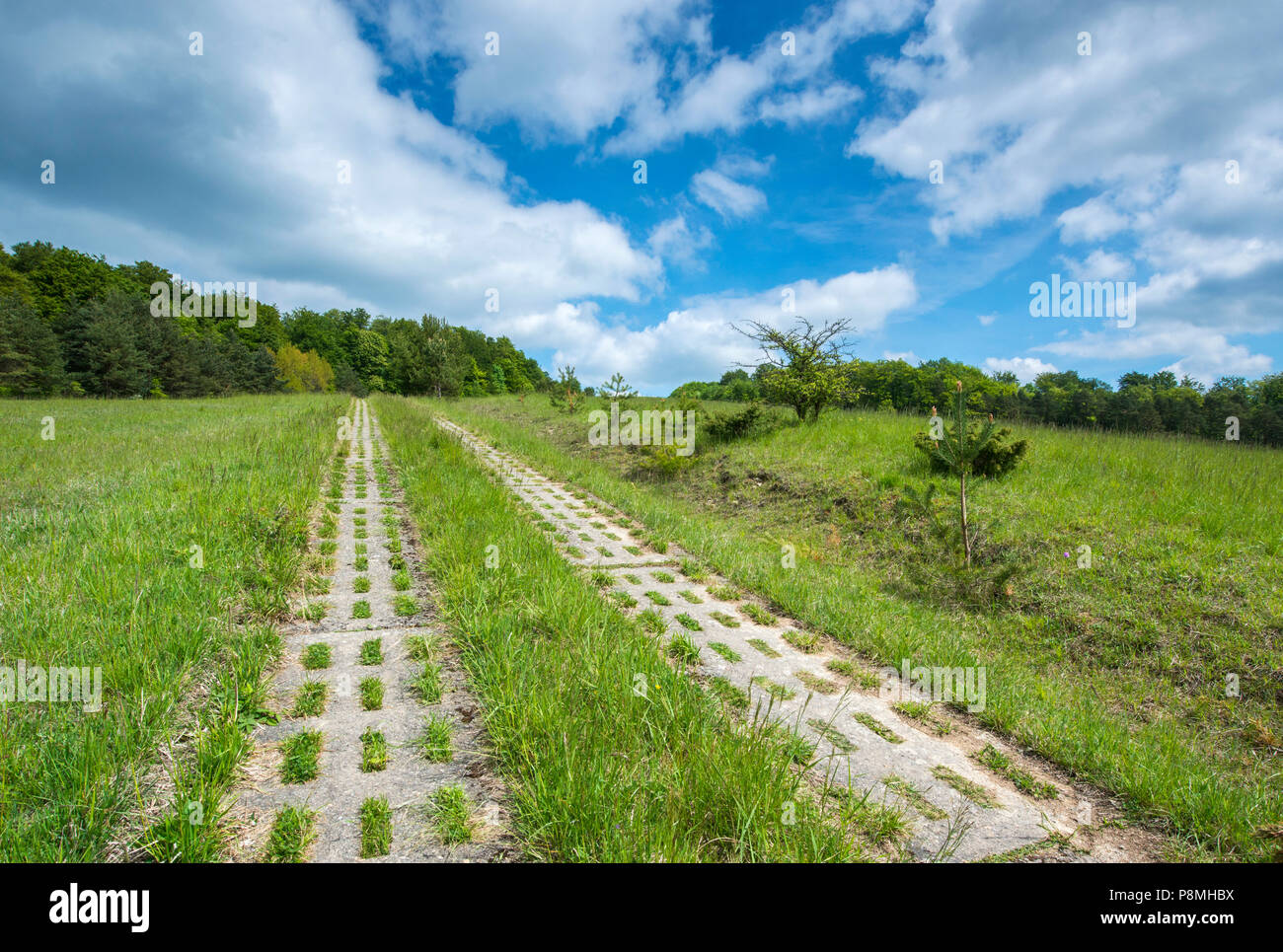 The German Green Belt is a conservation initiative to protect the ...