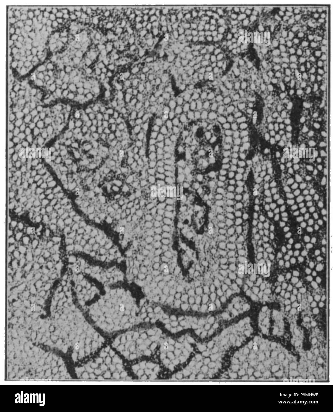 Space gravity Black and White Stock Photos & Images - Alamy