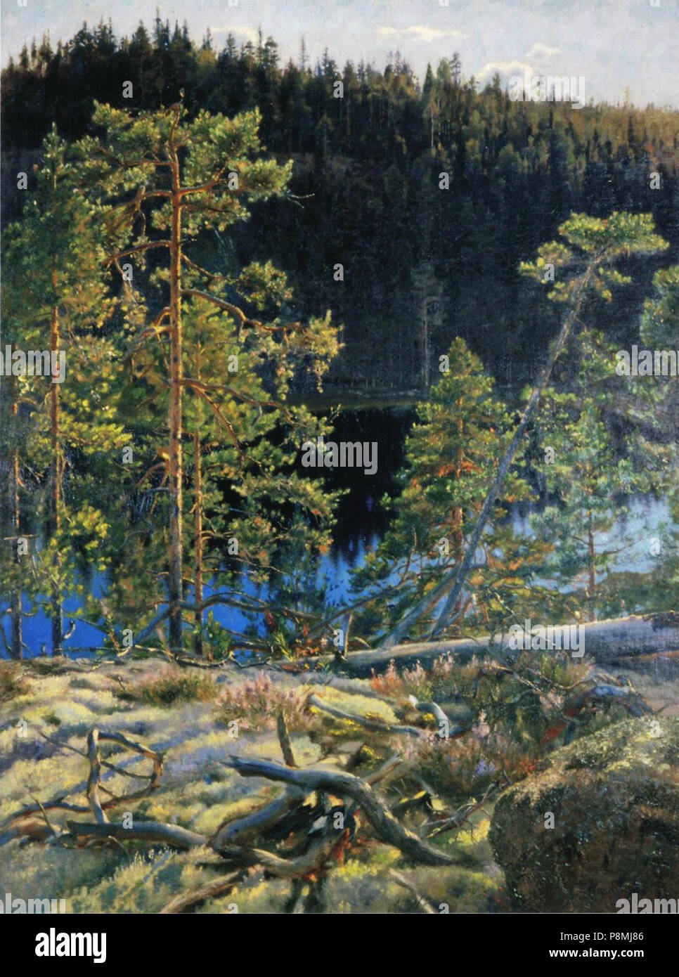 Wasastjerna hi-res stock photography and images - Alamy