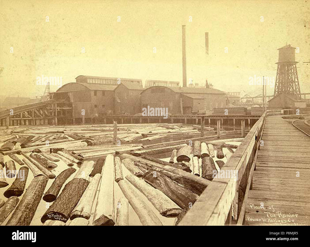 . 581 Western Mill Company plant on the south end of Lake Union ...