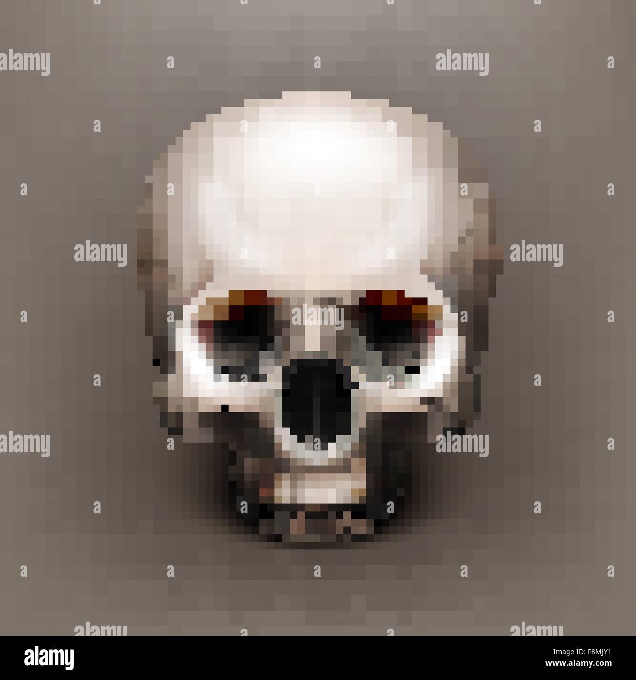 Stock raster illustration human skull Stock Vector Image & Art - Alamy