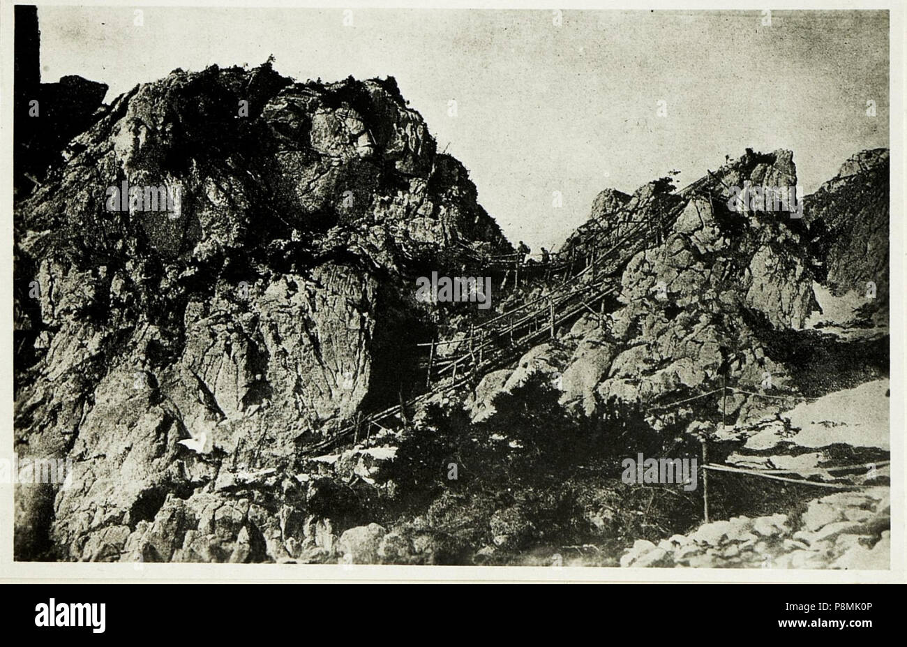 Al the pal hi-res stock photography and images - Alamy