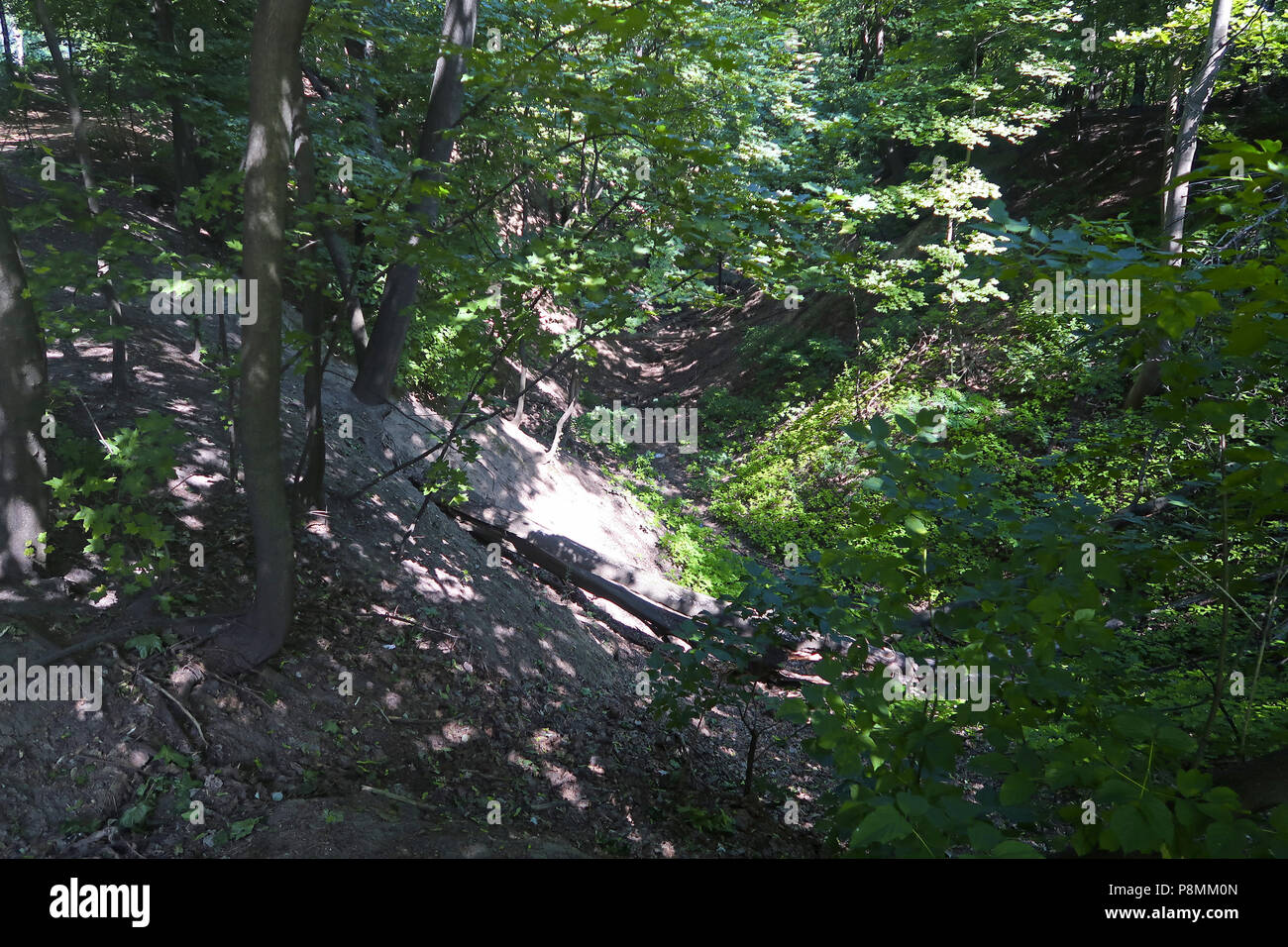 Babi yar ravine hi-res stock photography and images - Alamy