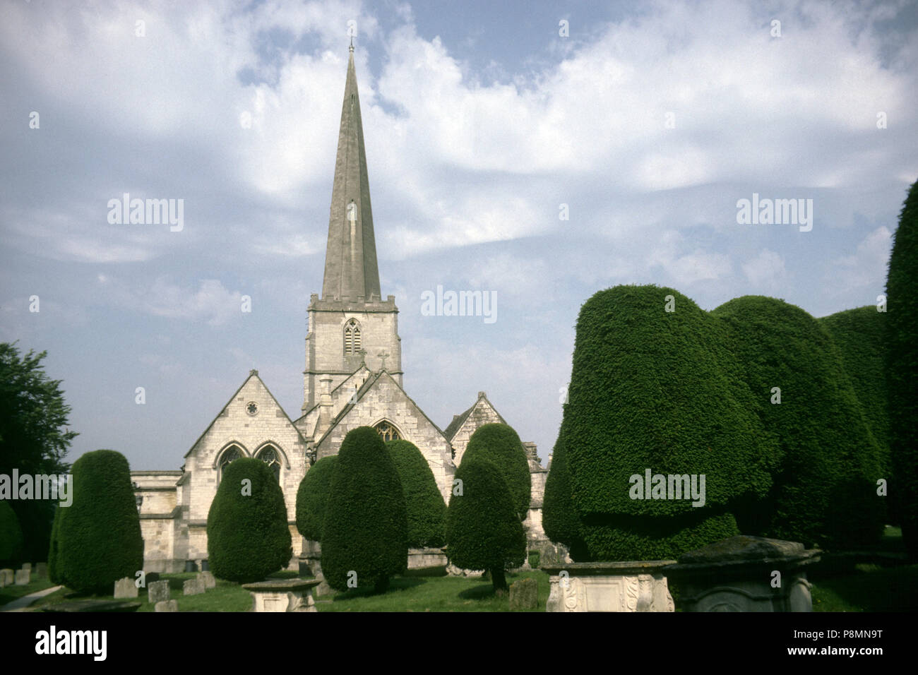 c1986: The 'wool church' tower and spire and its well known yew trees ...