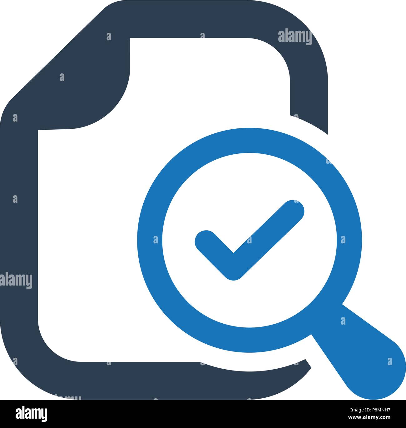 Assessment Icon Vector