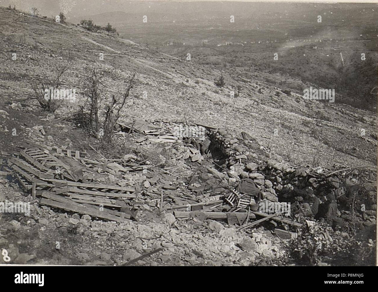 Fajti hrib hi-res stock photography and images - Alamy