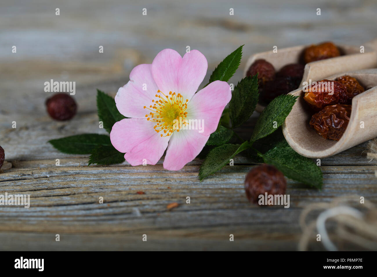 Rose hip benefits hi-res stock photography and images - Alamy