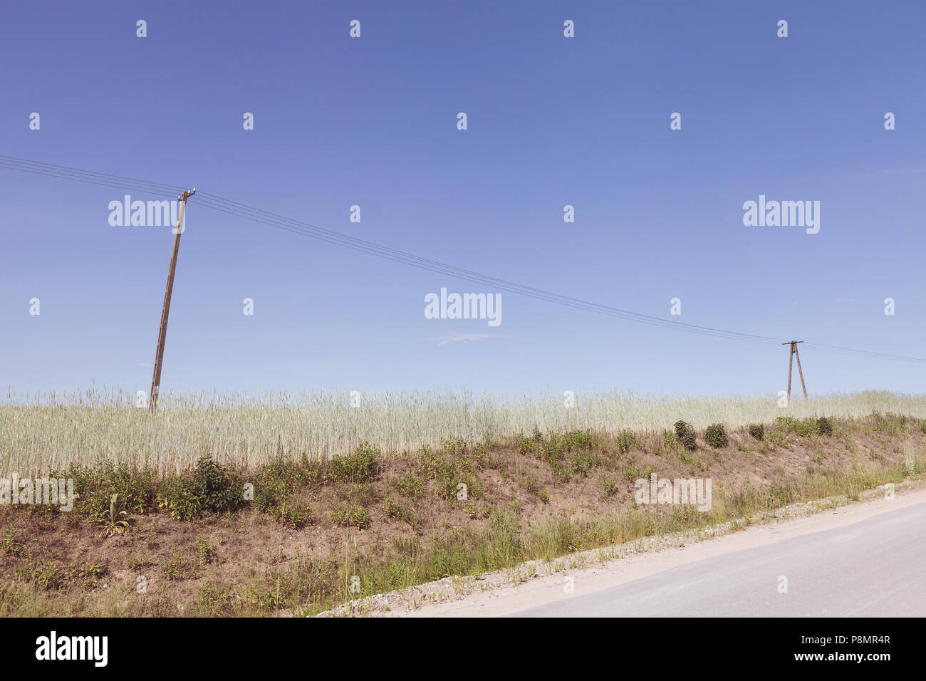 Telephone poles cable hi-res stock photography and images - Alamy
