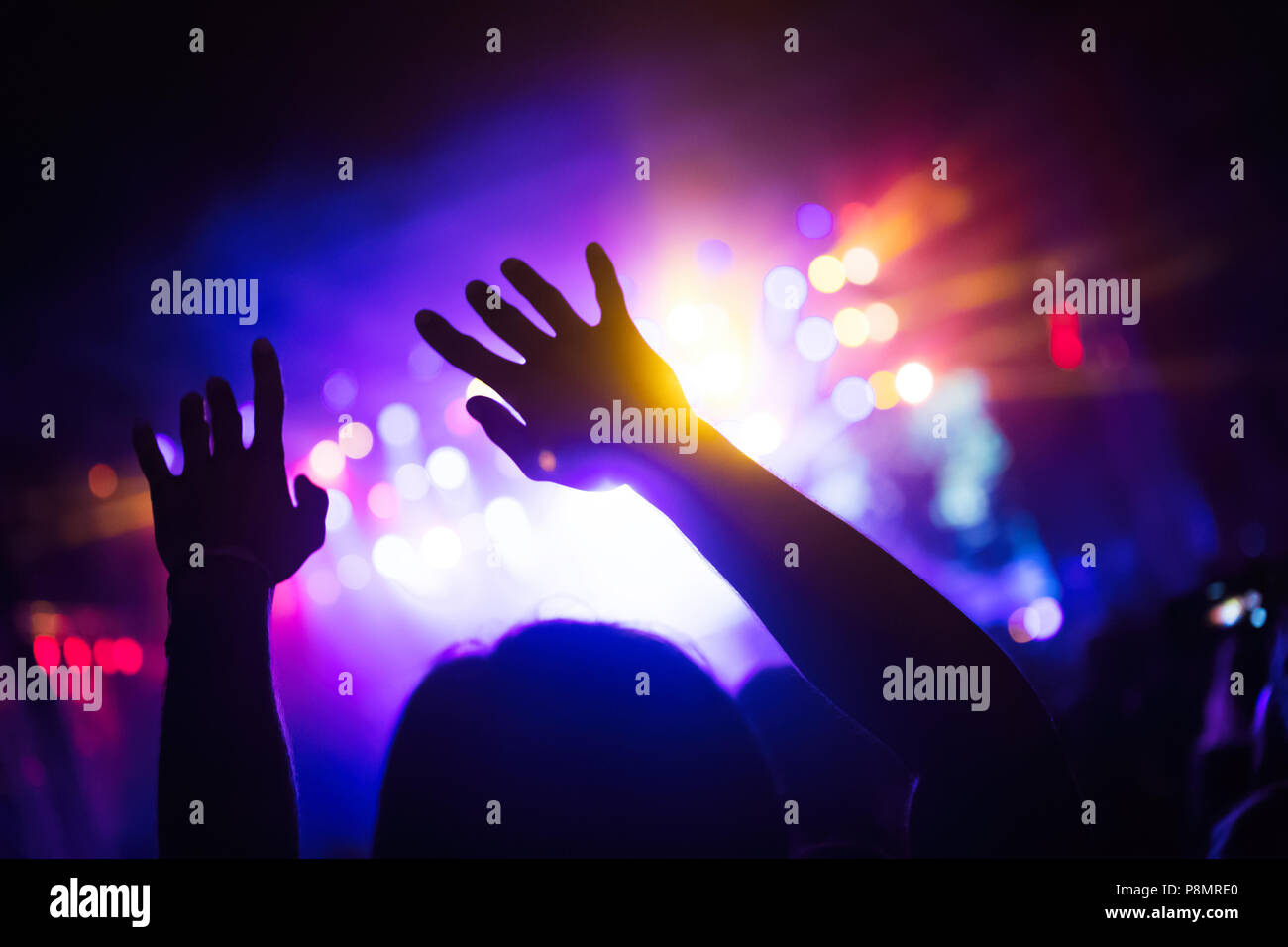 Picture of party people at music festival Stock Photo - Alamy