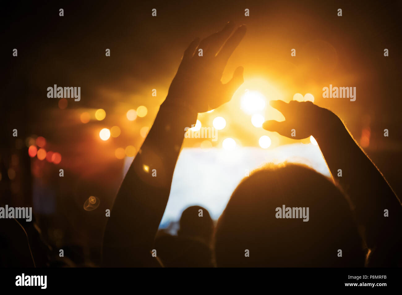 Picture of party people at music festival Stock Photo - Alamy