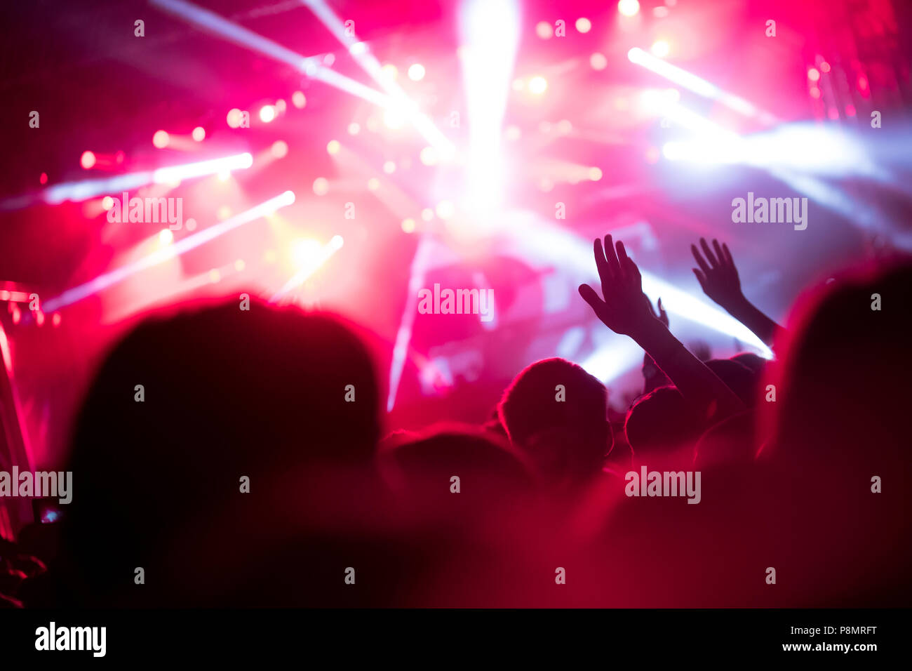 Picture of party people at music festival Stock Photo - Alamy
