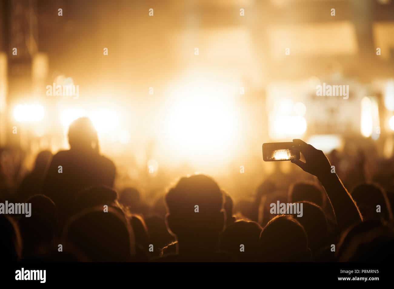 Picture of party people at music festival Stock Photo - Alamy