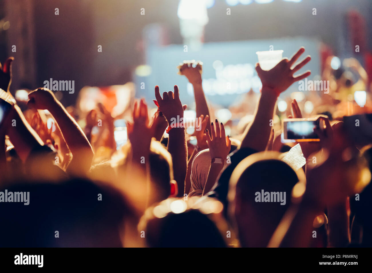 Picture of party people at music festival Stock Photo - Alamy