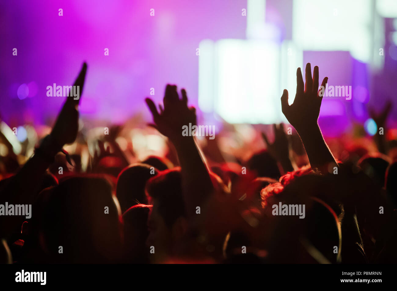 Picture of party people at music festival Stock Photo - Alamy