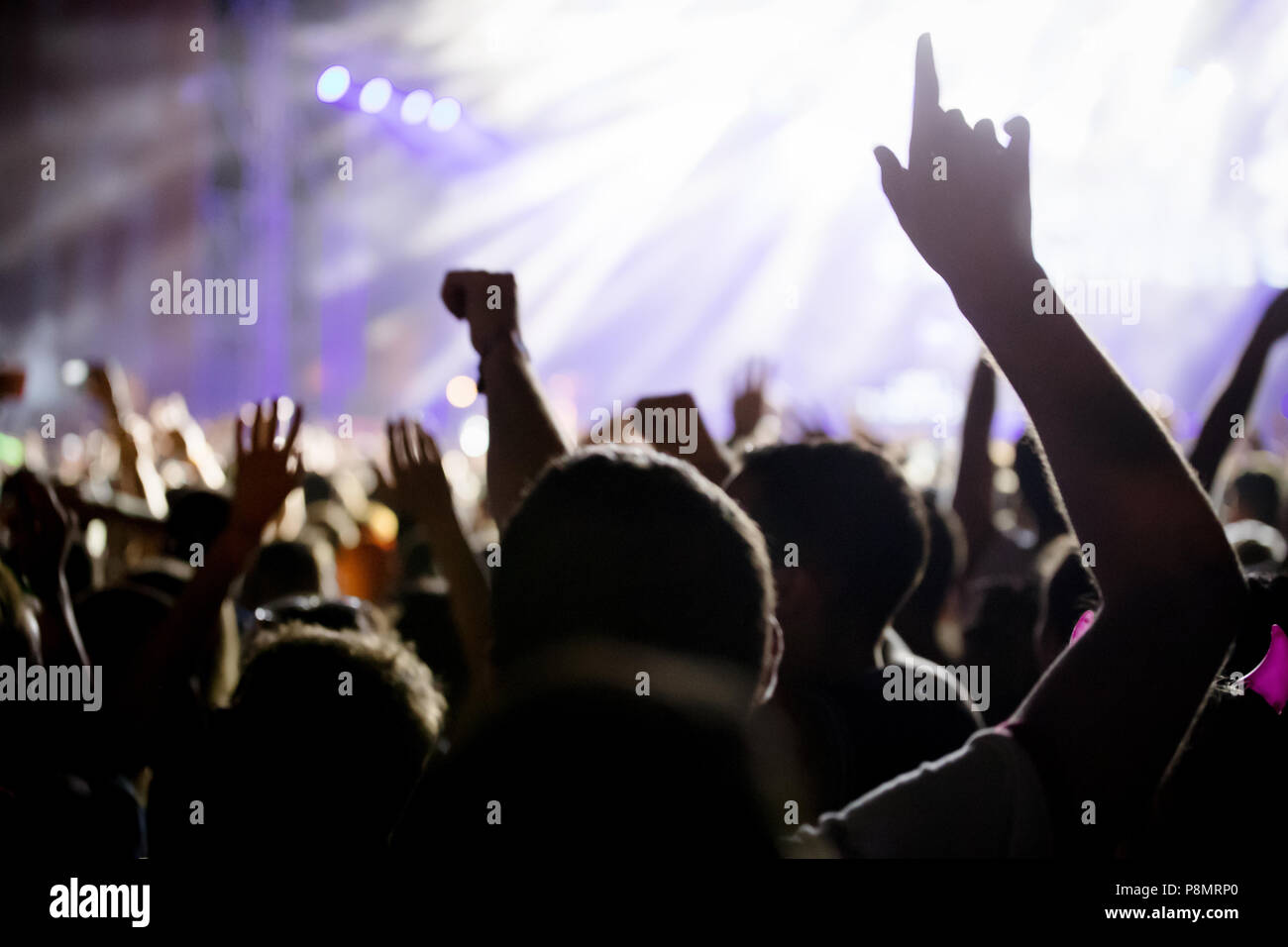 Picture of party people at music festival Stock Photo - Alamy