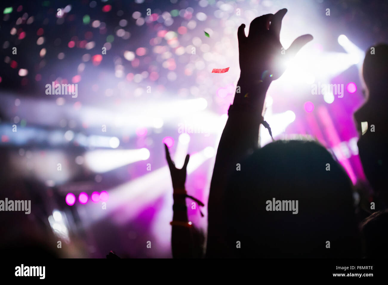 Picture of party people at music festival Stock Photo - Alamy