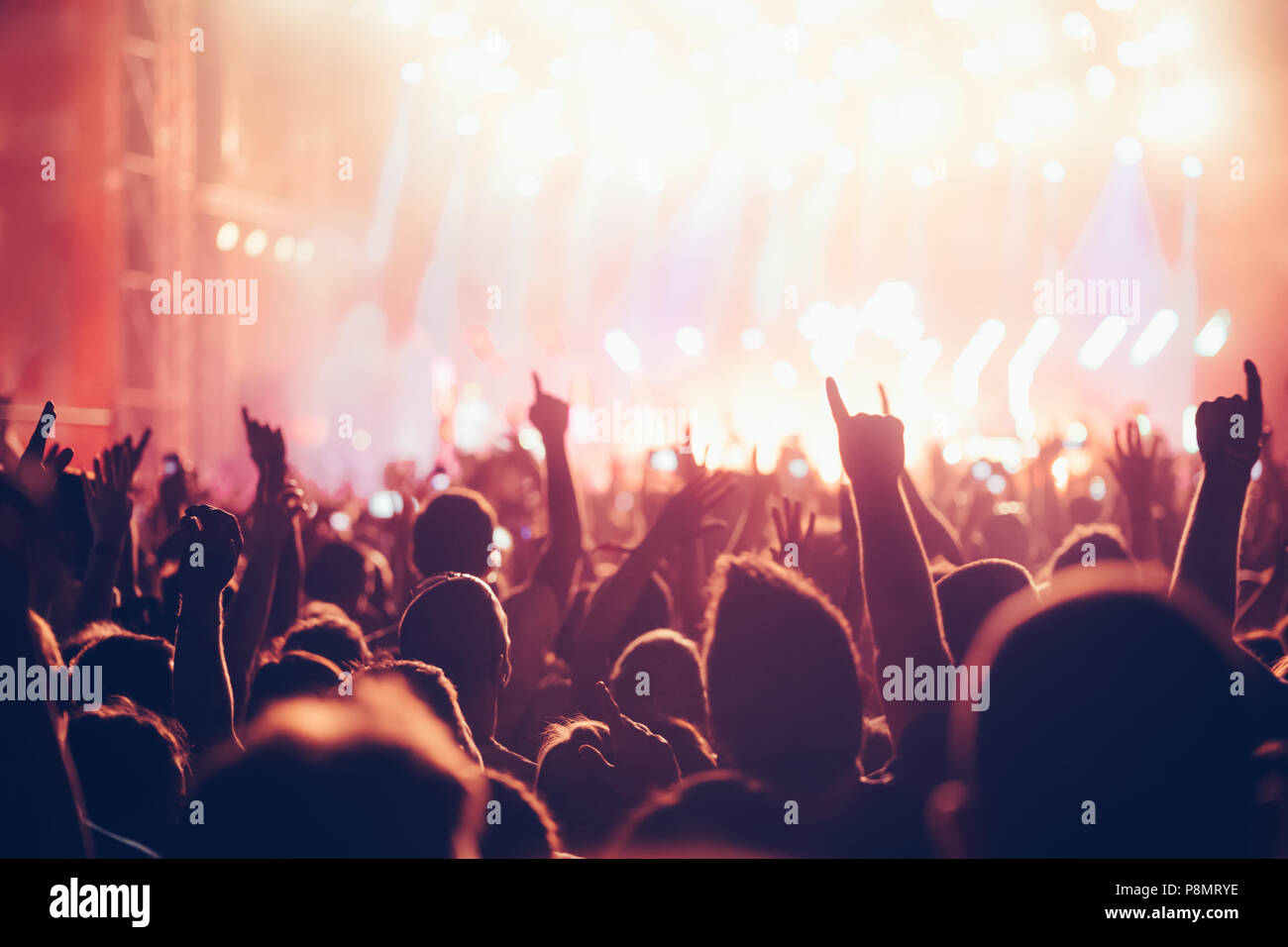 Rock Concert Crowd Hands